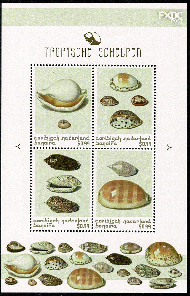 Bonaire2018-1 Tropische Schelpen (148)– Hollands Glorie